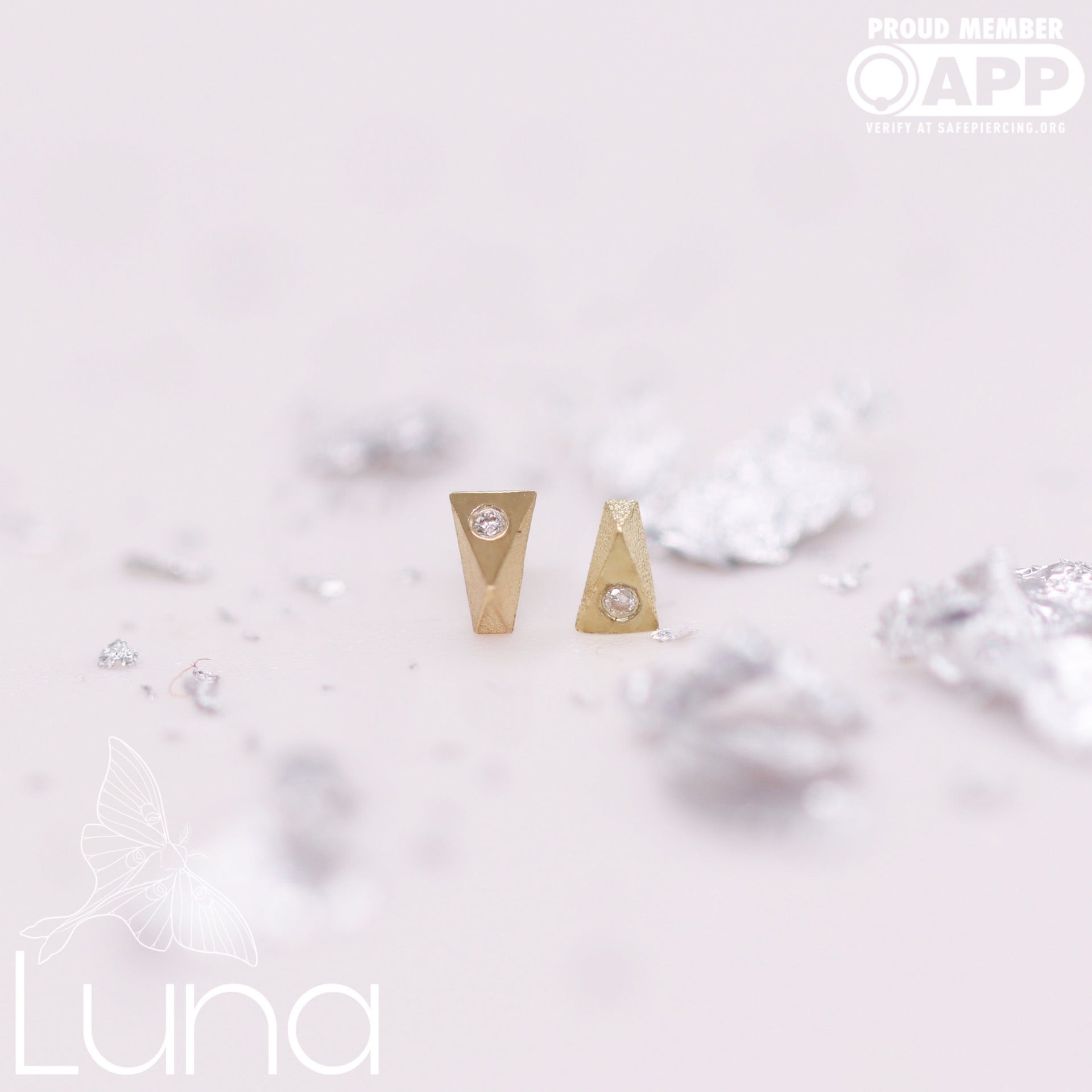 Tapered With Diamond Threadless End / Pupil Hall | Luna Piercing & Fine ...